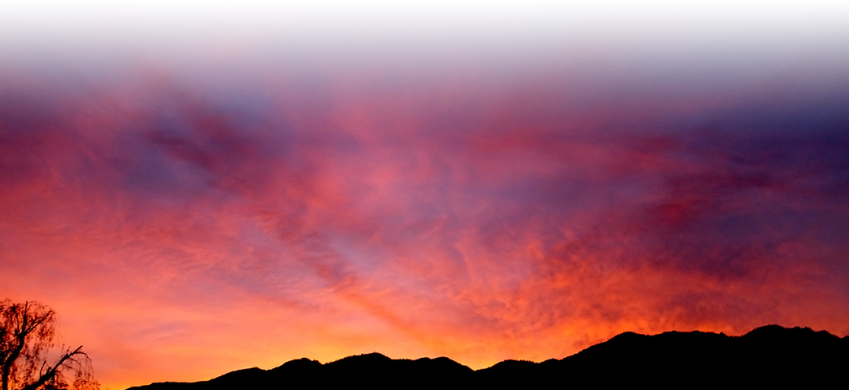 The Brain Vault | brain vault Blog